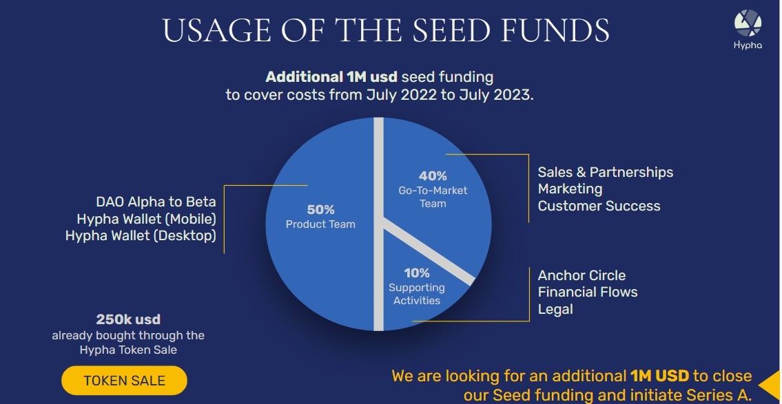 Usage of Seed Funds - Interlace Network